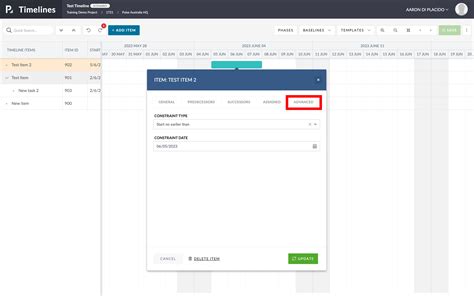 Constraint Pulse Project Management Software