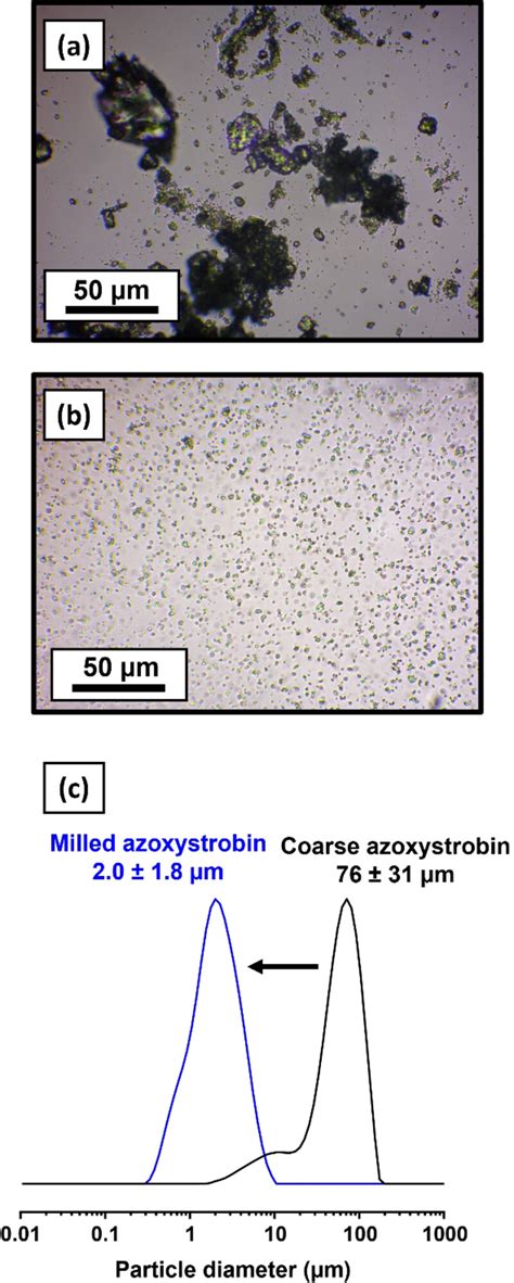 Efficient Synthesis Of Hydrolytically Degradable Block Copolymer Nanoparticles Via Reverse