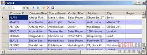 NET新手指南轻松自定义DataGridView控件 wpf自定义控件