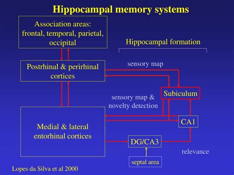 Ppt Distinct Memory Systems Mediating Declarative Emotional And