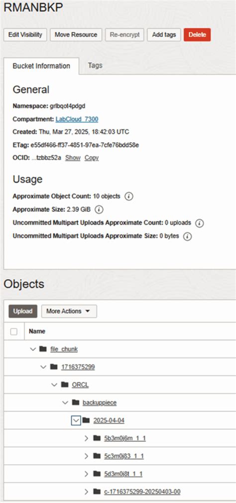 Como Fazer Backup Do Rman No Oci Object Storage Guia Passo A Passo