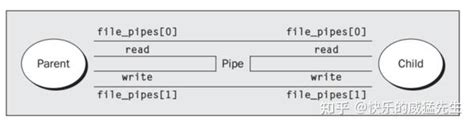【操作系统】进程间的通信——管道 知乎