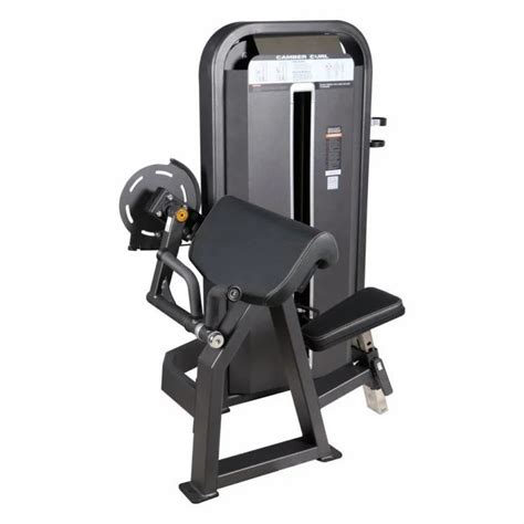 Bicep Tricep Curl Machine 110kgs At 110000 Piece In Guwahati ID