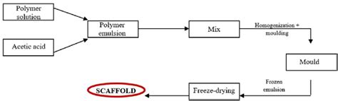 Schematic Diagram For Fabrication Of Scaffold Using Freeze Drying Download Scientific Diagram