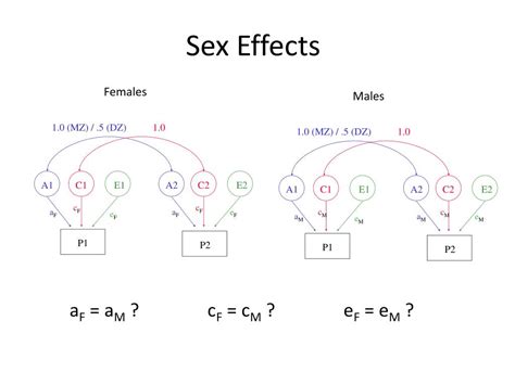 Ppt Testing For Heterogeneity Sex Differences Powerpoint