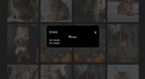photocat note 에러 해결 과정 Cannot destructure property md at main eunseo