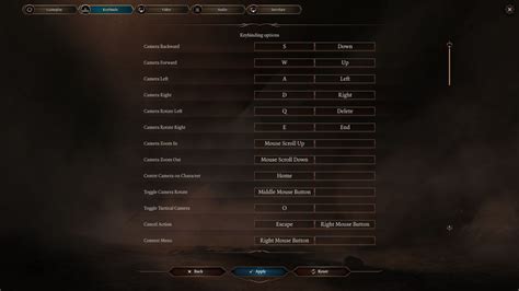 Baldurs Gate 3 Camera In Top Down View 7 Easy Fixes The Nature Hero