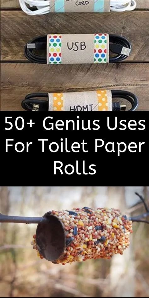 50 Genius Uses For Toilet Paper Rolls Artofit