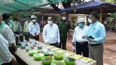 စစ်ကိုင်းတိုင်းဒေသကြီး ဝန်ကြီးချုပ် ဦးမြတ်ကျော် တိုင်းဒေသကြီး စိုက်ပ