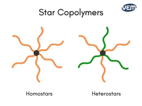 Homopolymer Vs Copolymer