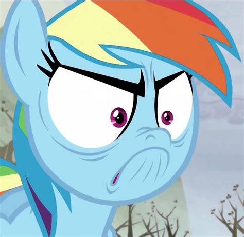 Triggered Rainbow Dash Meme 생성기