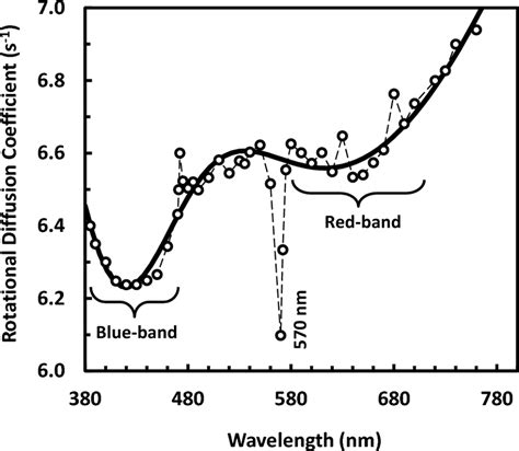 Action Spectrum Due To The Rotational Diffusion Coefficient Dr In