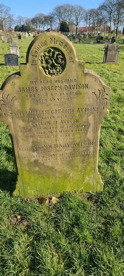 James William Avison 1902 1902 Find A Grave Memorial