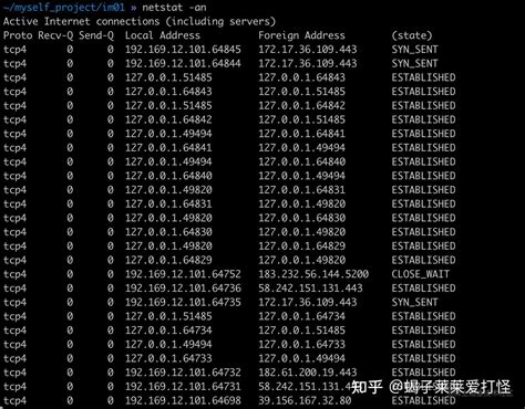 Tcpdump详解and实战 知乎