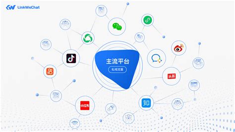 linkwechat基于企业微信的智能SCRM营销系统 仟微网络