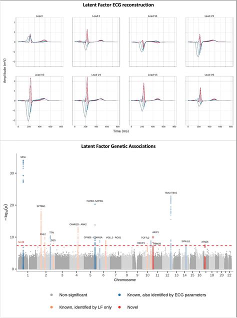 Mp 470543 005 Unsupervised Ecg Feature Extraction Using Deep Learning