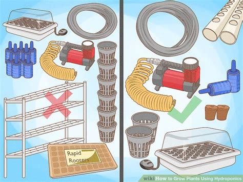 How To Grow Plants Using Hydroponics Steps With Pictures