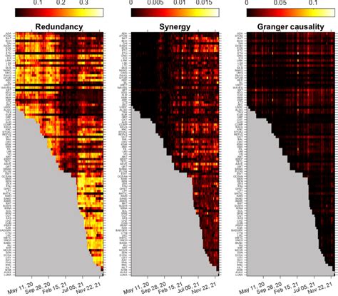 The Redundant Left And Synergistic Center Dynamical O Information