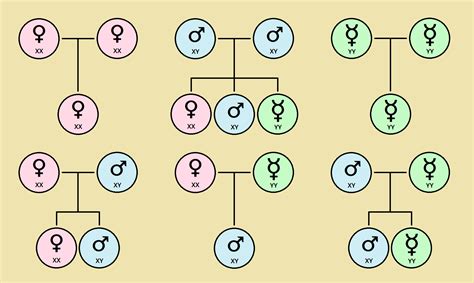 Possible Sex Of Offspring Of A Species Where Any Individual Can Produce