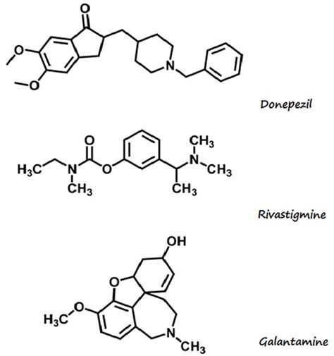 Acetylcholinesterase Structure