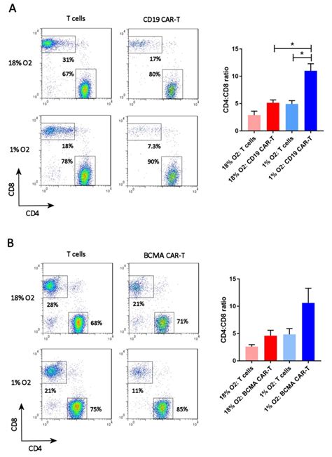 Hypoxia Increases The CD4 CD8 Ratio CD19 CAR T Cells A And BCMA