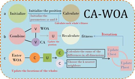 Structure Chart Of The Improved Whale Optimization Algorithm Download