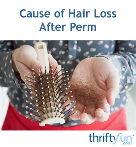 Cause Of Hair Loss After Perm Thriftyfun