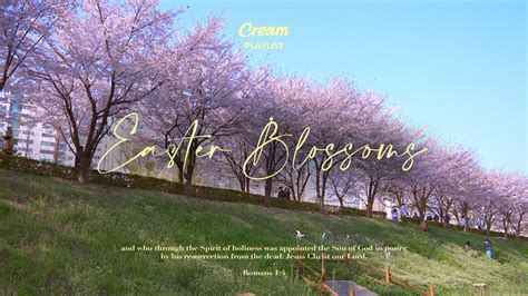 Playlist 봄에 활짝 핀 꽃처럼 부활의 기쁨을 누려요 Youtube