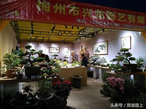 燈光下的迎春花市美美的梅州院士廣場 每日頭條