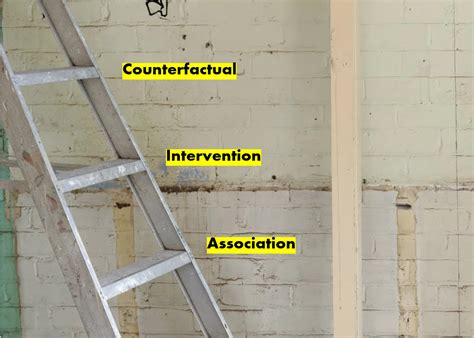 Vinija S Notes Concepts Causal Inference