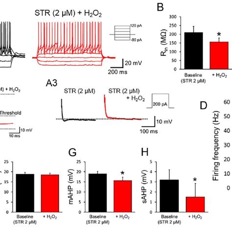 Resting Membrane Potential Action Potential Threshold And Half Width Download Table