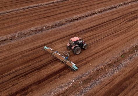 The Environmental Impacts Of Peat Moss And 5 Better Options For Your Garden Minneopa Orchards