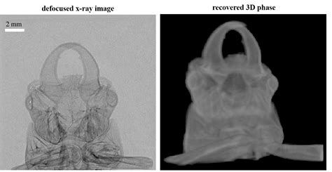 Compressive Imaging Tian Lab