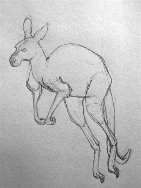 Cross Hatching Behance