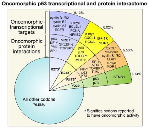 Hotspots For Tp53 Mutations Mutations That Occur At A Frequency Download Scientific Diagram