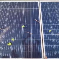 Solar Object Detection Dataset And Pre Trained Model By Hasan