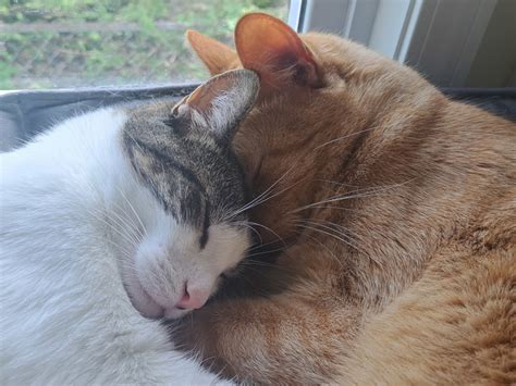 Creating Rows For Django Tables2 With Htmx · Better Simple