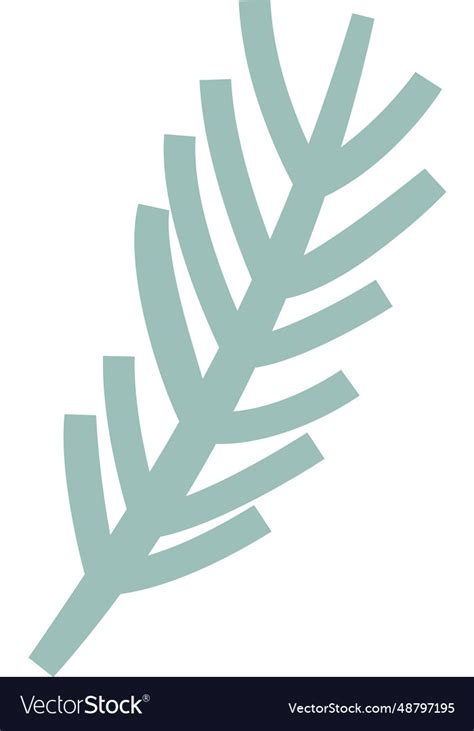 Pine Tree Branch Royalty Free Vector Image VectorStock