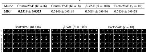 Controllable Variational Autoencoder