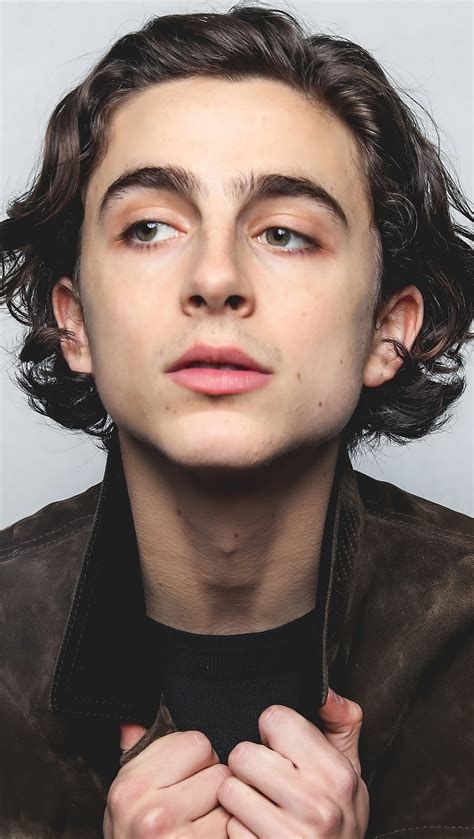 Timothee Chalamet Photoshoot 2020 Fondo De Pantalla 4k Hd Id 6203