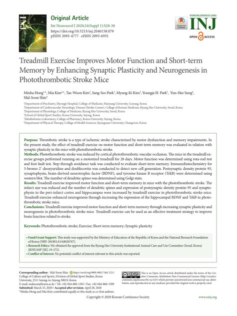Pdf Treadmill Exercise Improves Motor Function And Short Term Memory By Enhancing Synaptic