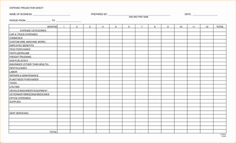 Schedule C Expense Excel Template