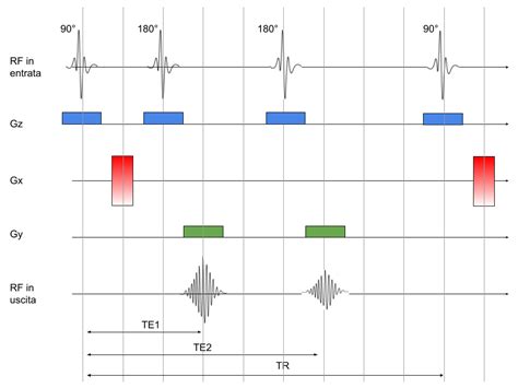 Spin Echo Multi Echo Rmnonline