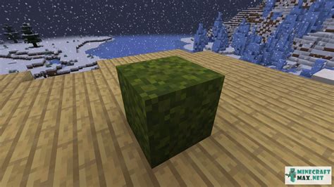 Moss Block How To Craft Moss Block In Minecraft Minecraft Wiki