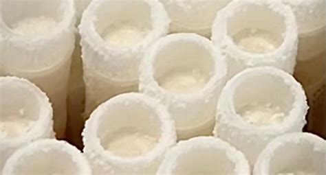 User Satisfaction Survey Template Biobank Norway