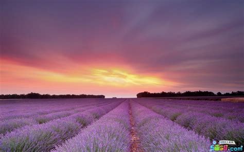 博客，就是一个折腾 蚊子前端博客