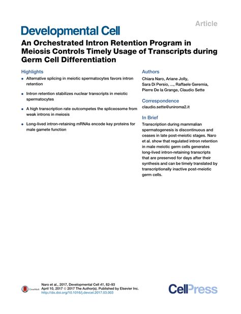 Pdf An Orchestrated Intron Retention Program In Meiosis Controls
