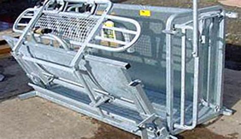 Sheep Handling Glendale Engineering