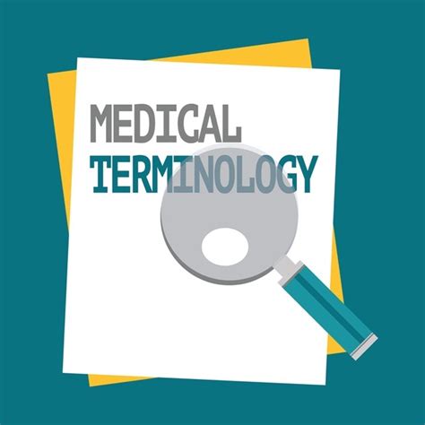 Medical Terminology Diagram Quizlet