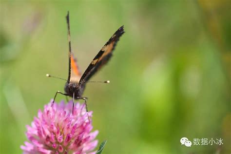 基于用户的协同过滤算法vs基于物品的协同过滤算法 腾讯云开发者社区 腾讯云